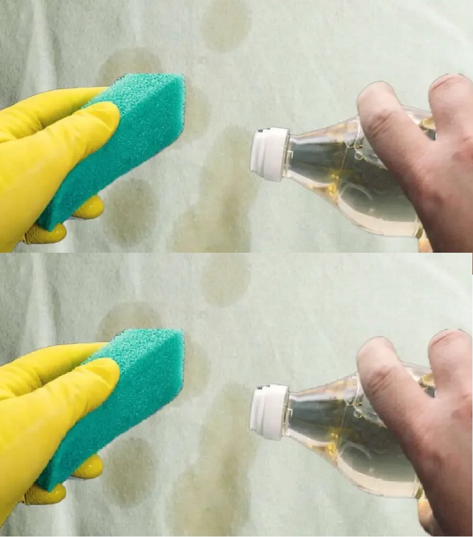 Cum să îndepărtezi petele de ulei de pe fața de masă: Acest ingredient ...